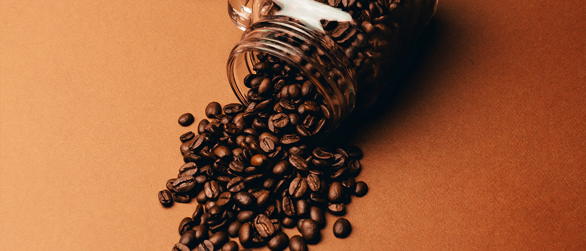 Bean Selection 101: How to Pick the Right Beans for You – ECS Coffee